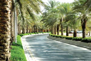 Riyadh’s Diplomatic Quarter, In Bloom - Dq Living Magazine