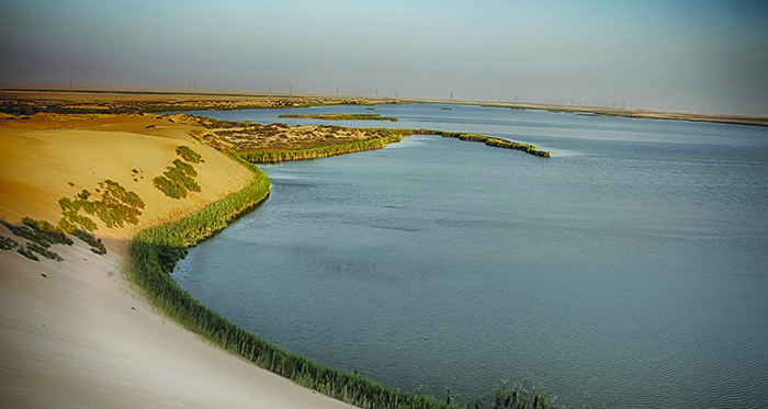 Al-Ahsa: The Oasis Wonder - Dq Living Magazine