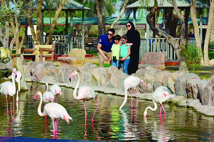 Bahrain: So Much to See in Two Seas - Dq Living Magazine