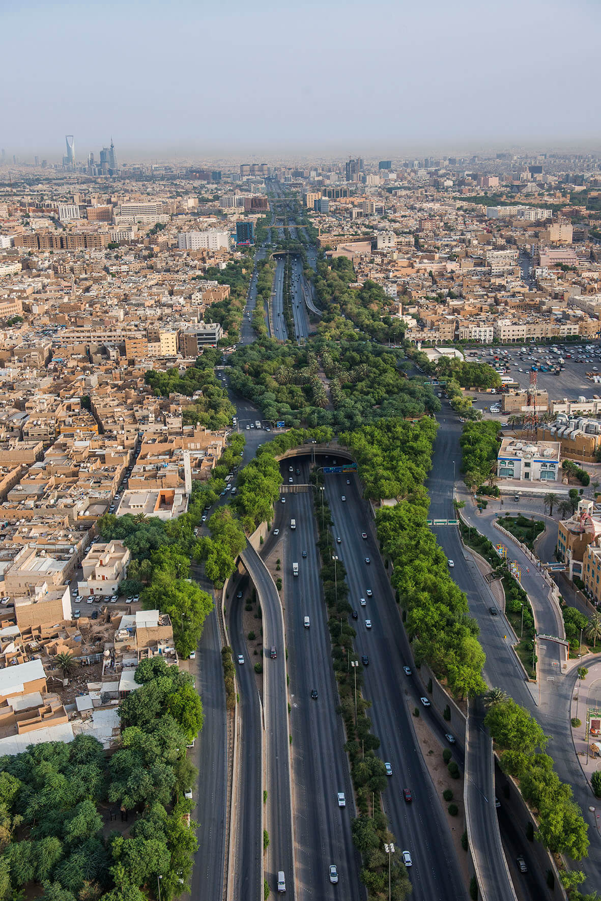 Riyadh Goes Green - Dq Living Magazine