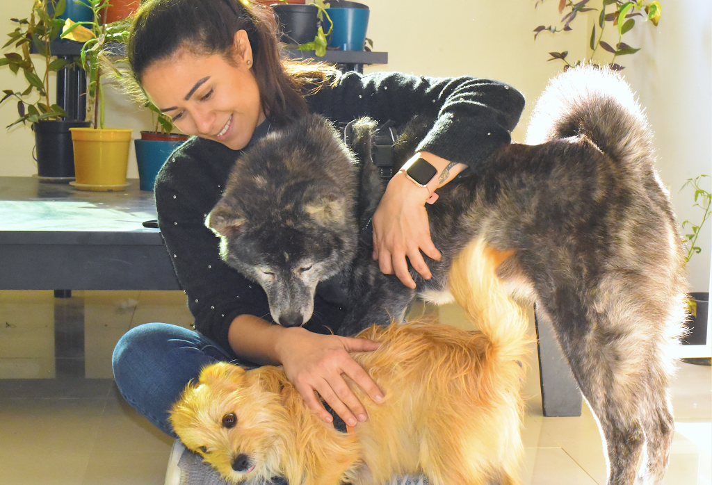 Animal Rescuers: A New Breed of Heroes - Dq Living Magazine
