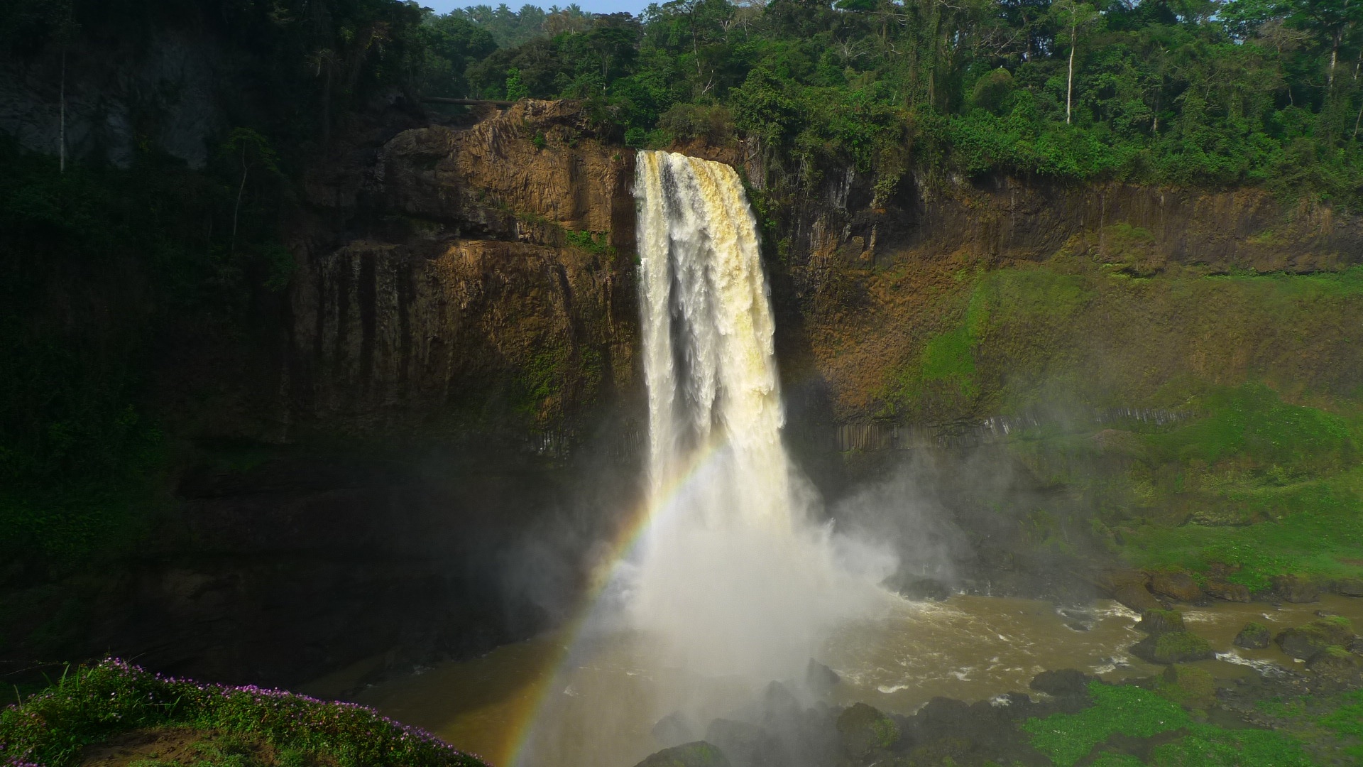 Captivating Cameroon - Dq Living Magazine